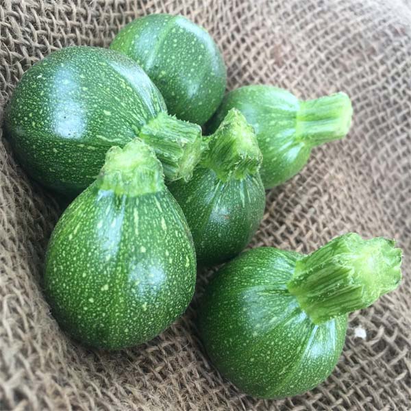 round courgette - Wild Country Organic Food
